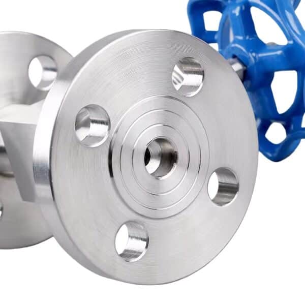 Flange Needle Valve - Ningbo Airkert Machinery Co., Ltd